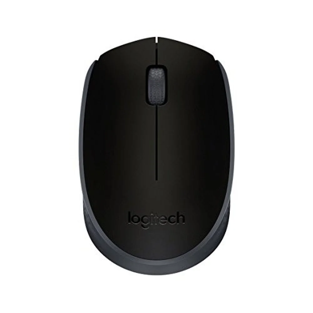 Logitech M171