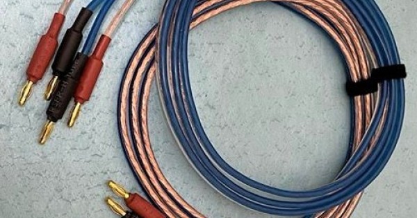 APEC2 Audio Amplifier Speaker Cable Price in BD